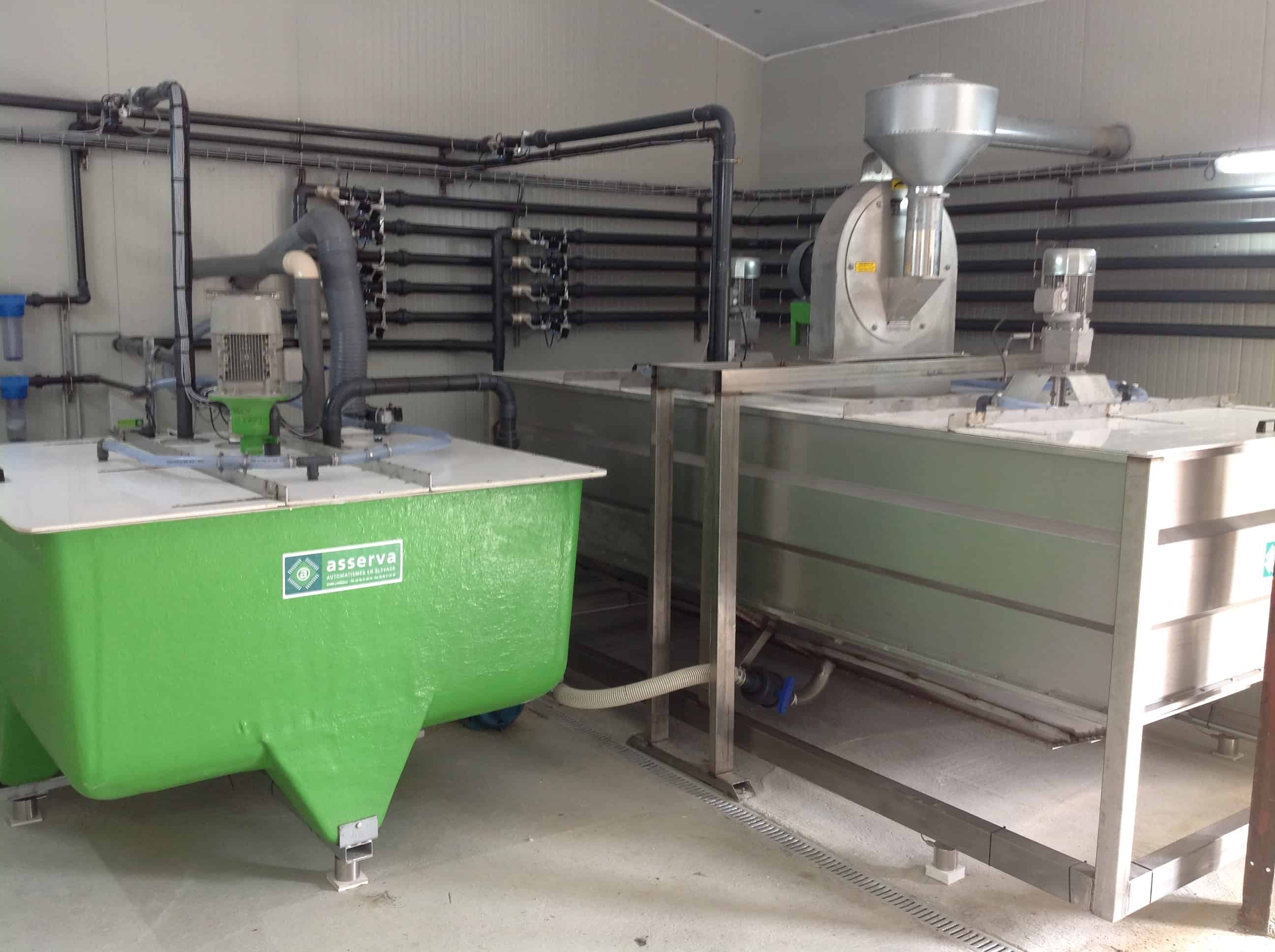 Liquid feed - Pigs feeding systems - Asserva